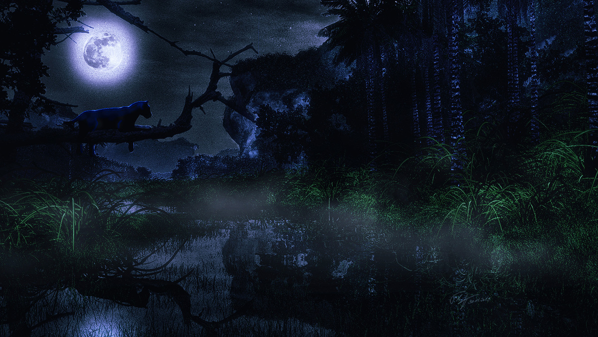 Jungle Scene At Night